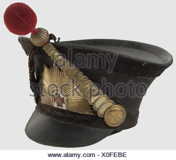 A shako for officers, of the civil militia. Flared cardboard body Stock ...