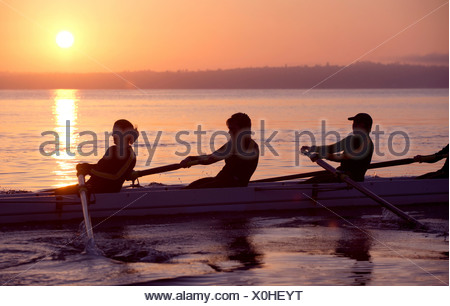 Four people rowing at sunset Stock Photo: 59057763 - Alamy