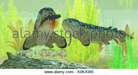 Carboniferous Rhizodus hibberti Stock Photo - Alamy