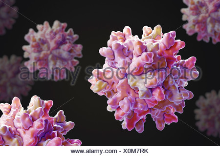 Structure Infectious Bursal Disease Virus (IBDV) (PDB 2GSY). IBD is ...