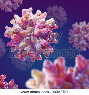 Structure Infectious Bursal Disease Virus (IBDV) (PDB 2GSY). IBD is ...