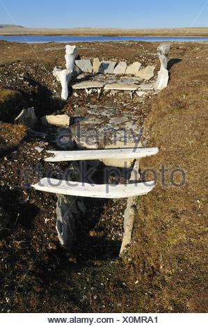 Historic Inuit house from the Thule Culture made out of whale bones ...