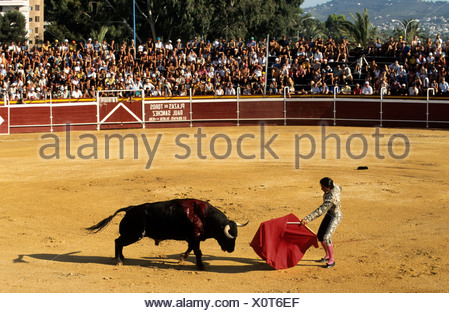 Bullfighter holding red cape in front of a bloodied black bull during ...