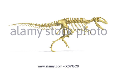 Giganotosaurus dinosaur artwork Stock Photo: 53149476 - Alamy