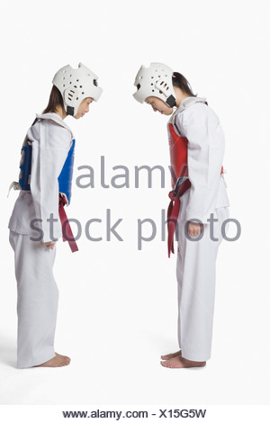 Side profile of two taekwondo players bowing each other Stock Photo ...