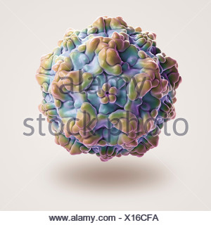 Structure Feline Panleukopenia Virus (FPV) (PDB 1C8E) also known as ...