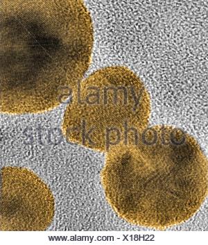 Gold nanoparticles. Coloured transmission electron micrograph (TEM ...