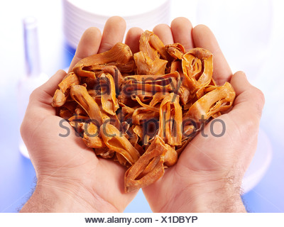 Close up of blades of dried mace, the aril (lacy covering) of nutmeg ...