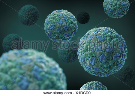 Structure foot-and-mouth disease virus (1BBT) which is pathogen that ...