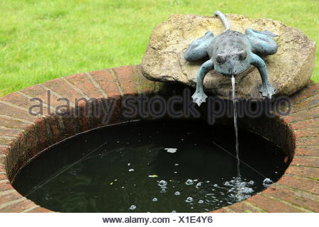 frog, fountain, squirt, copper, spit, bronze, water, round, stone Stock ...