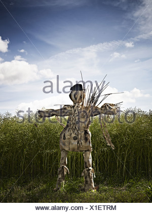 Scarecrow in a field Stock Photo - Alamy