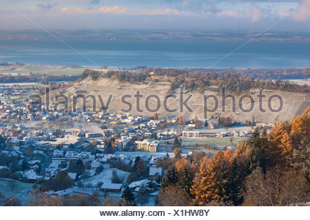 Thal, Switzerland, Europe, canton St. Gallen, Rhine Valley, vineyard ...