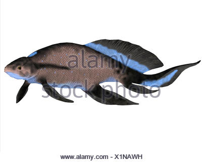 Scaumenacia Fish - Scaumenacia was a primitive jawless fish that lived ...