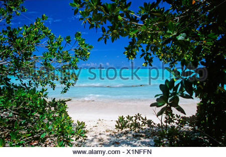 Venezuela South America Las Aves Archipelago Islands Islas de Aves ...