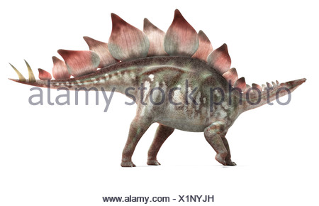 Side view of Stegosaurus Stock Photo - Alamy
