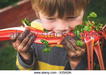 Eating with dirty hands Stock Photo: 51702390 - Alamy