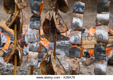 Traditional Native American Indian Salmon Fish Trap Weir on River ...