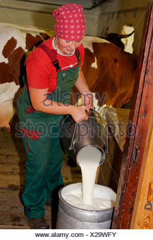 Dairy maid working with fresh milk on Halsalm, Berchtesgaden National ...