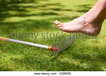 Bare foot about to step on rake Stock Photo - Alamy