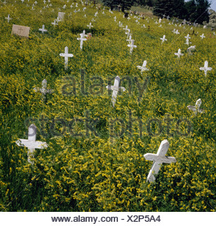 Gravestones in a cemetery, St. Elizabeth Cemetery, Lefor, North Stock ...