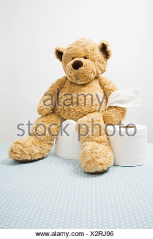 Teddy bear on potty Stock Photo - Alamy