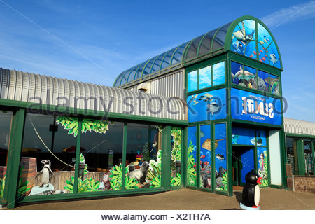 Hunstanton Sea Life Centre, marine aquarium, Norfolk England UK Stock ...