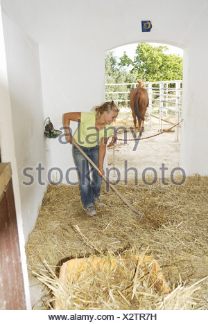 girls mucking out a horse stable Stock Photo: 22761364 - Alamy