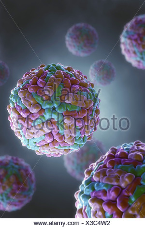 Structure Dengue virus (DENV) (PDB 1K4R) cause dengue fever. It is ...