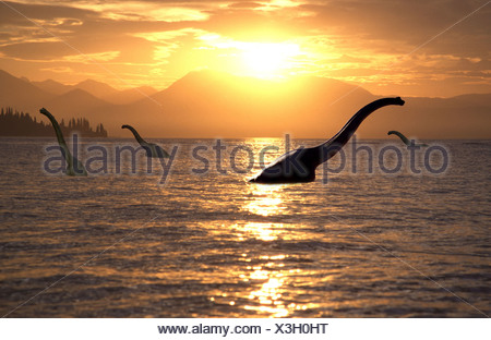 Brachiosaurus swimming in the sea Stock Photo - Alamy
