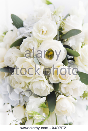 Rose and Chinese Bellflower Stock Photo: 21890802 - Alamy