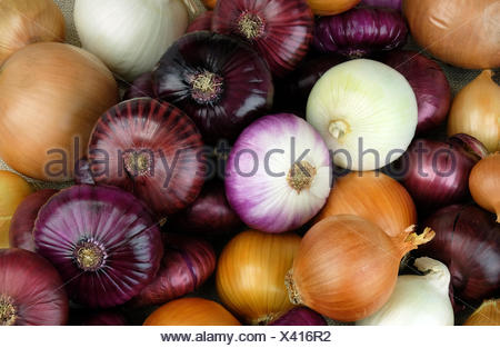 Onions of different varieties and colors Stock Photo - Alamy