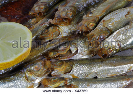 Kieler Sprotten or Kiel Sprats, smoked sprat, Eckernfoerde Stock Photo ...