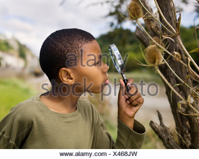 boy investigating nature Stock Photo - Alamy