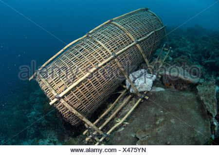 Fishing Trap, Alor, Indonesia Stock Photo - Alamy