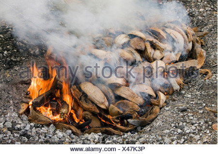 a traditional pit fire at a funeral feast on Funafuti, tuvalu Stock ...
