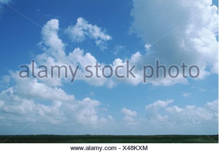 Cumulus humilis clouds or "fair weather Cumulus Stock Photo: 20032341 ...