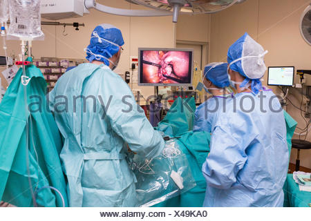 Exploratory laparoscopy and surgical hysteroscopy (Uterine fibroids ...