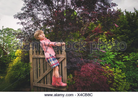 Children Playing on a Wooden Gate in the Countryside Stock Photo ...