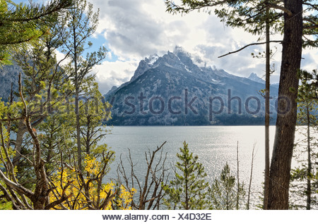 Jenny Lake and mountains of the Grand Teton National Park, Wyoming in ...