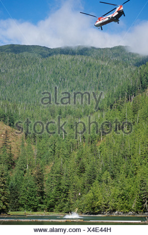 heli-logging, British Columbia, Canada / helicopter-logging Stock Photo ...