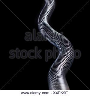 Transverse wave in a slinky spring. In transverse (or shear) waves ...
