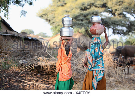 Tribal woman carrying water. Bhil Tribe, Madhya Pradesh, India Stock ...