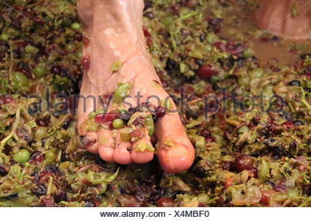 Man grape stomping Stock Photo - Alamy