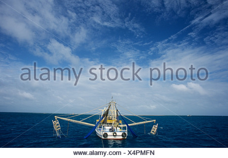 Prawn fishing trawler, Gulf of Carpentaria, Australia Stock Photo - Alamy