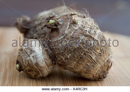 Taro Corm, Colocasia esculenta Stock Photo - Alamy