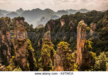 Karst pillars in Wulingyuan, China Stock Photo - Alamy