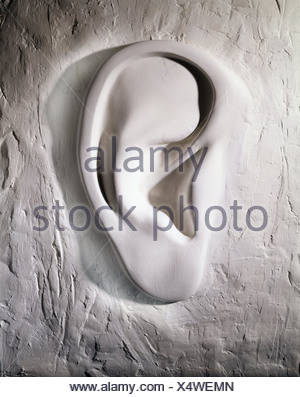 Ear as plaster cast Stock Photo: 60102081 - Alamy