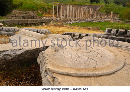 Galen, Ancient Greek Physician and Philosopher Stock Photo - Alamy