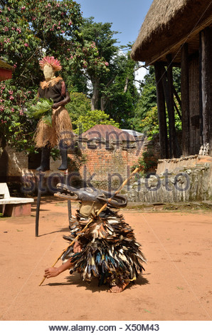 Traditional dance at the palace of Bafut, one of the traditional Stock ...