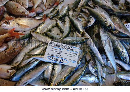 Algarve, fish, fish market, Lagos, Portugal, fish, Food Stock Photo - Alamy